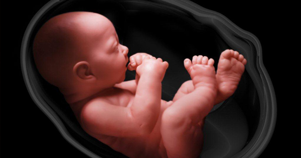 Unborn Babies - Sensitive Beings That Feel and See