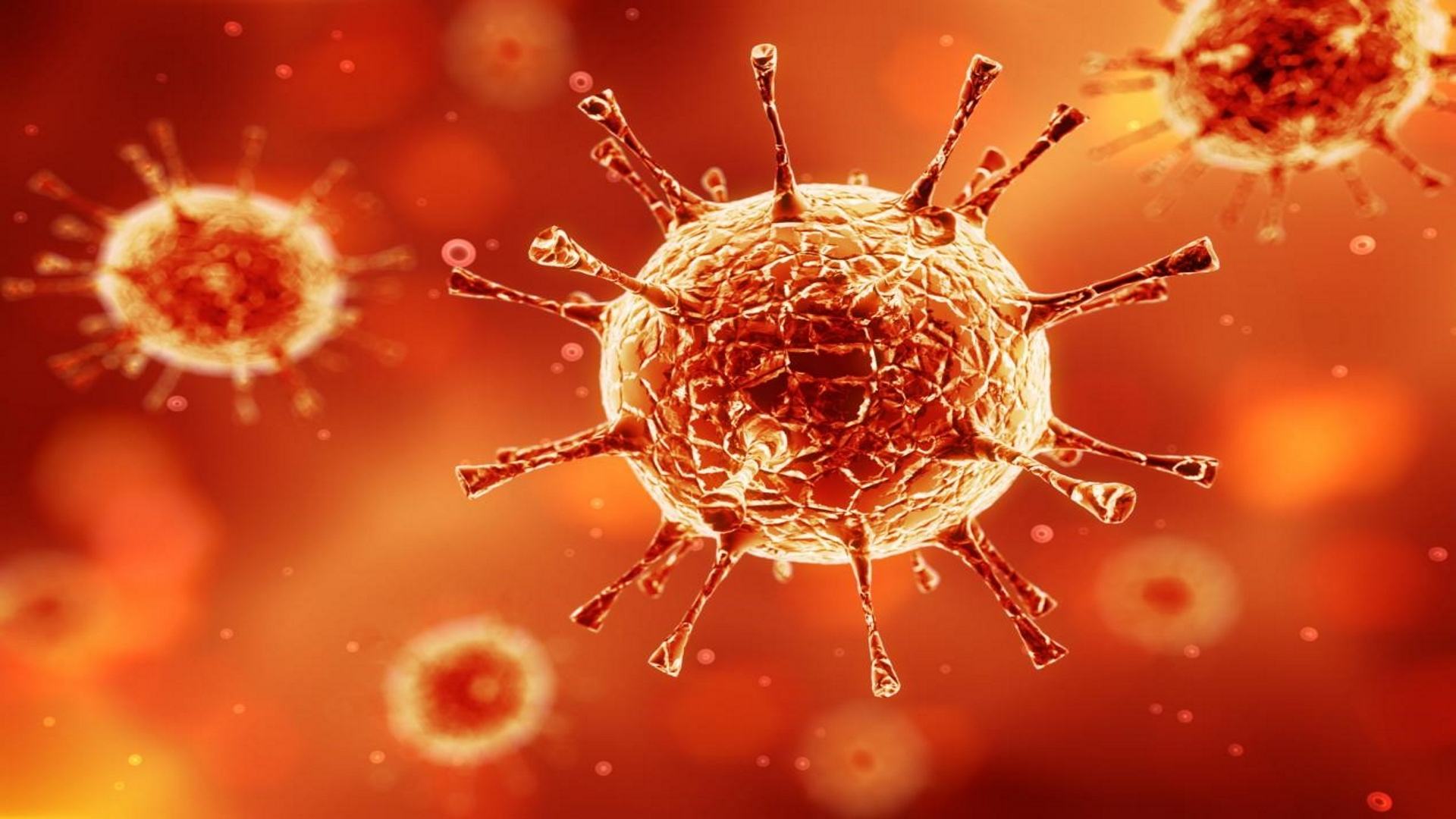 Viruses Are PH Sensitive