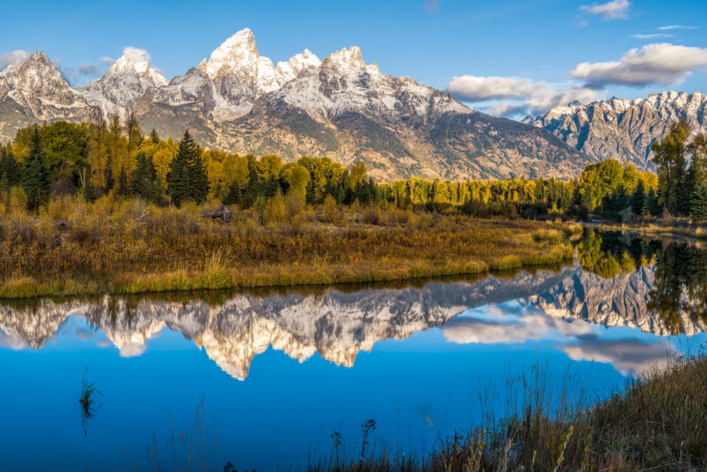 The Smartest People Live in Wyoming